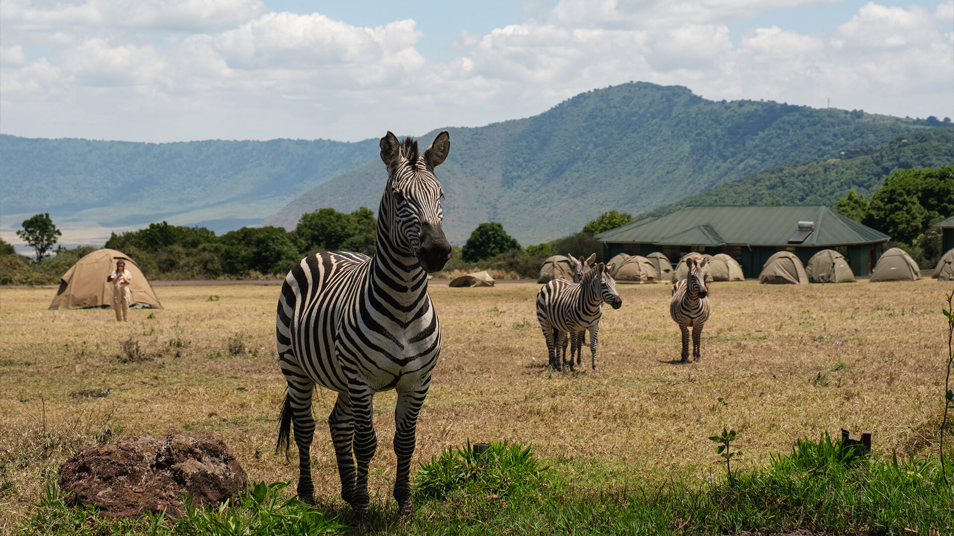 7-Day Serengeti, Ngorongoro, Tarangire & Walking Safari, Serengeti Wakanda